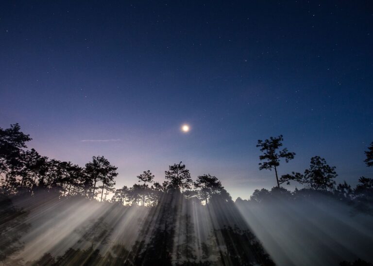 Moonstone – The Semi-Precious Birthstone for June. – One Zero Eight ...