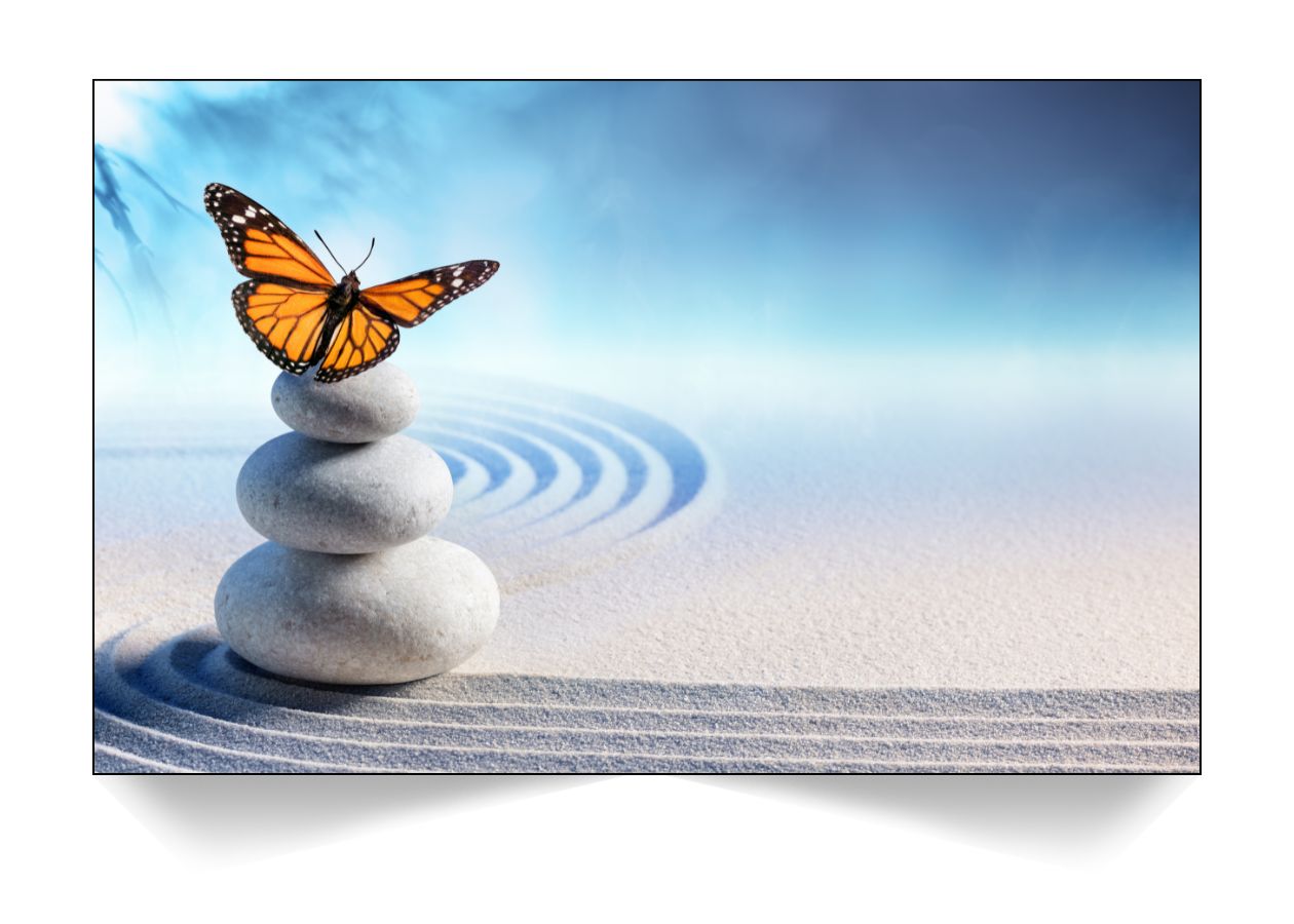 Libra – Everything You Need to Know About This Zodiac. – One Zero Eight ...